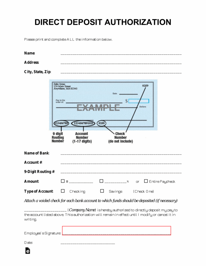 Free Direct Deposit Form Template Microsoft Word Printable - Free ...